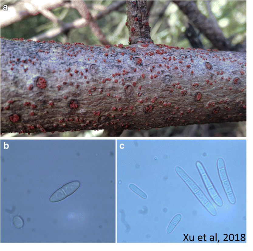 Genetic variation and genotype by environment interaction in the ...